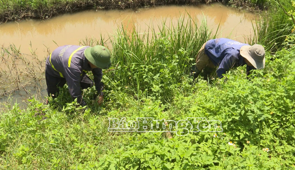 Tổ chức diệt chuột vụ xuân trên toàn tỉnh từ ngày 15/1 đến ngày 15/2 ...
